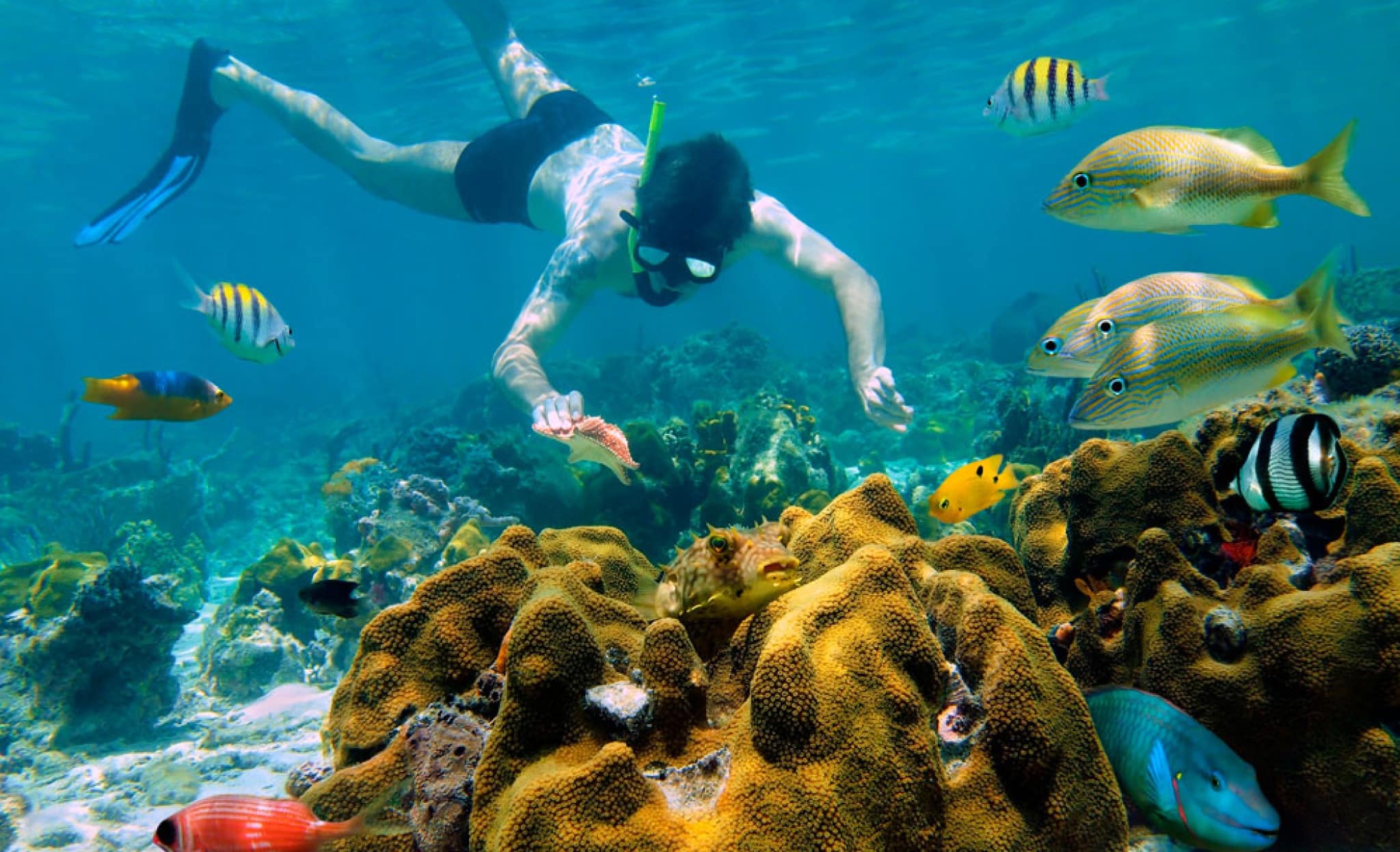 Cozumel, hogar del segundo arrecife de coral más grande del mundo ...